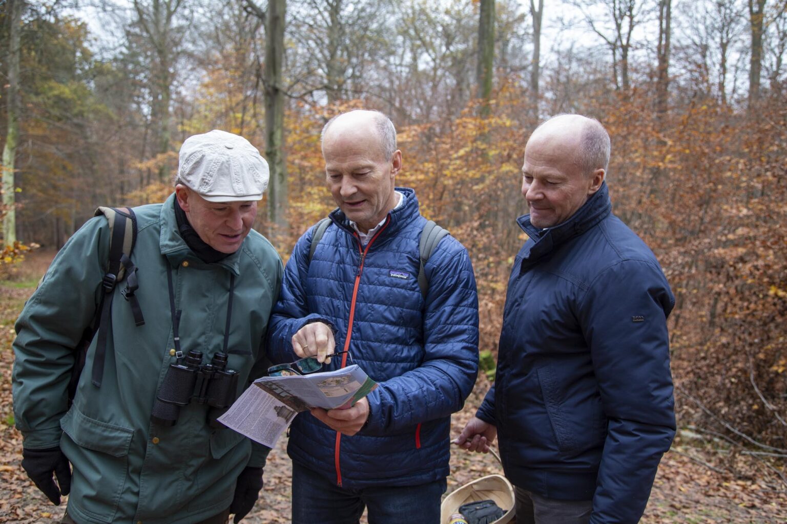 Introduction to Foraging: Foraging Benefits, Equipment, Guidelines ...